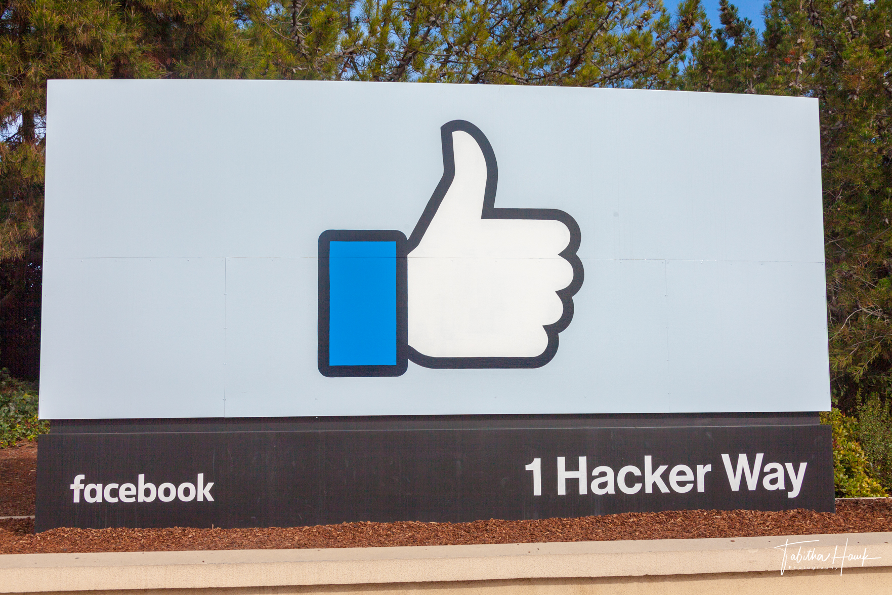 Facebook HQ Sign | Nashville Travel Photographer & Solo Female Travel