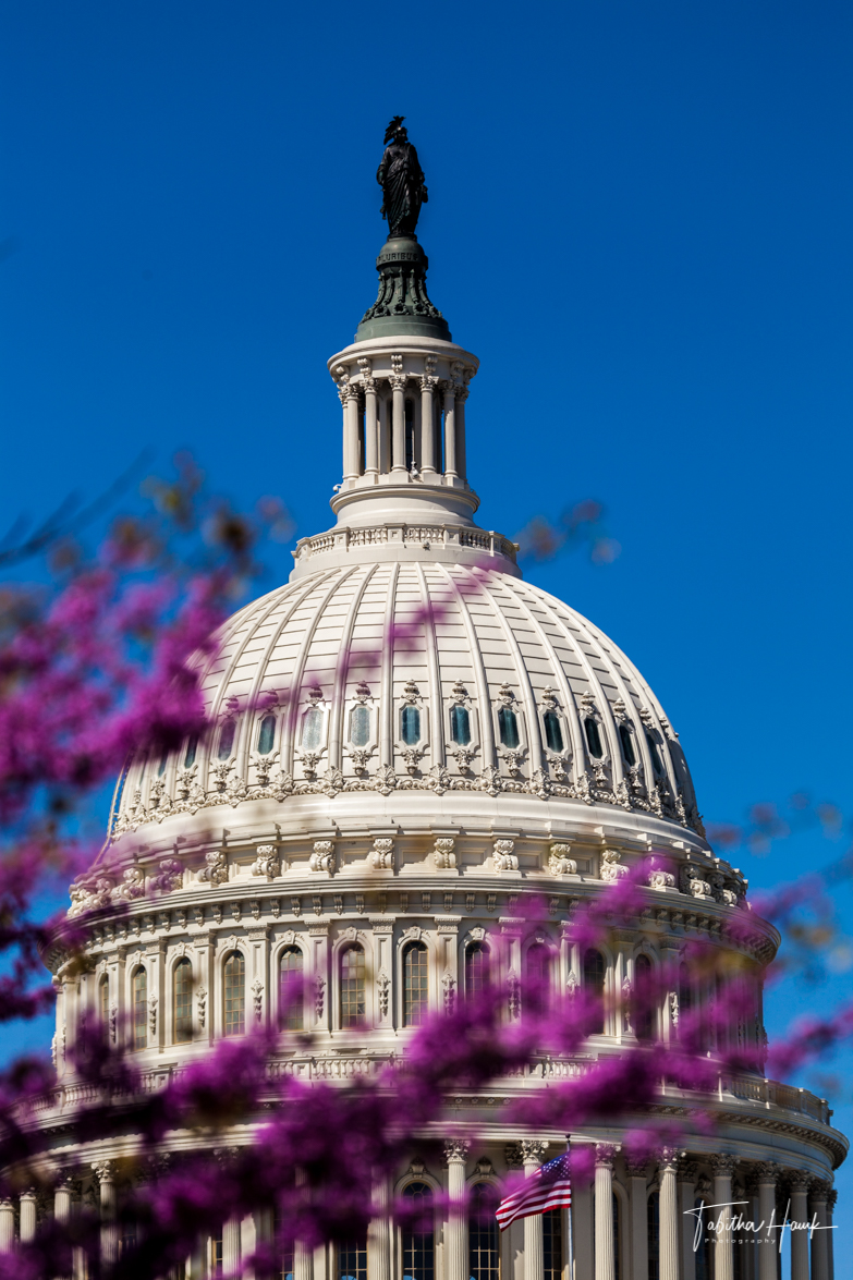 USA State Capital Buildings & Canadian Province Buildings | Nashville ...