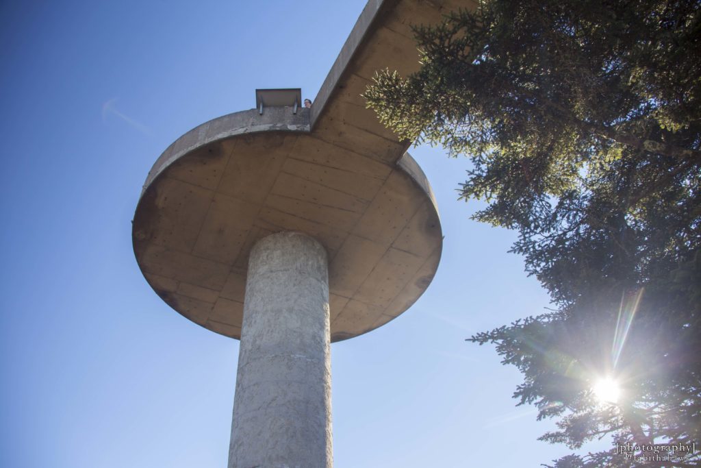 Clingmans Dome – Highest Point in Tennessee | Nashville Travel ...