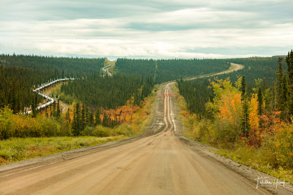 Dalton Highway – Alaska with the Trans-Alaska Pipeline | Nashville ...